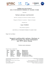 Imagerie multimodale optique, élastique et photo-thermique des tissus ...