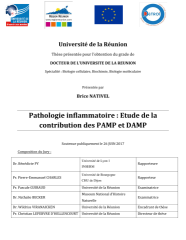 Pathologie inflammatoire : étude de la contribution des PAMP et DAMP ...