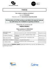 Structuration of SrTiO3 surfaces and MoS2 2D material induced by swift ...
