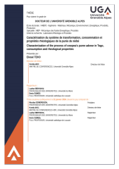 Caractérisation du système de transformation, consommation et ...
