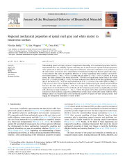 Regional mechanical properties of spinal cord gray and white matter in ...