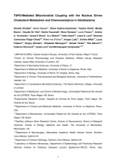 TSPO-Mediated Mitochondrial Coupling with the Nucleus Drives ...