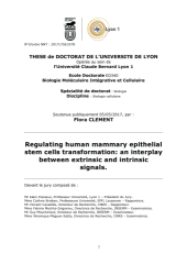 Regulating human mammary epithelial stem cells transformation : an ...