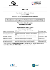 Μembranes Actives pοur le ΤRaΙtement des eauΧ (ΜAΤRΙΧ) - TEL - Thèses ...