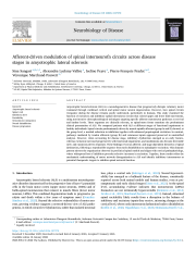 Afferent-driven modulation of spinal interneurofn circuits across ...