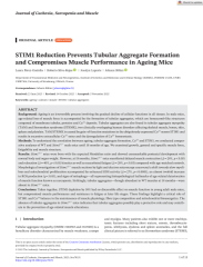 STIM1 Reduction Prevents Tubular Aggregate Formation and Compromises ...