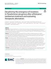 Deciphering the emergence of mutations in Pseudomonas aeruginosa after ...