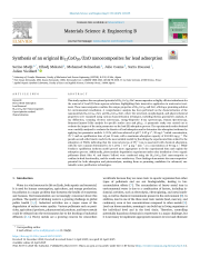 Synthesis of an original Bi12CoO20/ZnO nanocomposites for lead ...