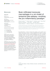 Brain-infiltrated monocyte macrophages in a rat model of temporal lobe ...