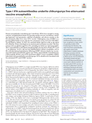 Type I IFN autoantibodies underlie chikungunya live-attenuated vaccine ...