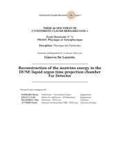 Reconstruction of the neutrino energy in the DUNE liquid argon time ...
