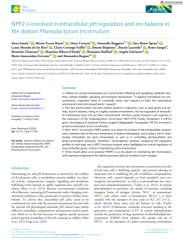 NPF2 is involved in intracellular pH regulation and ion balance in the ...